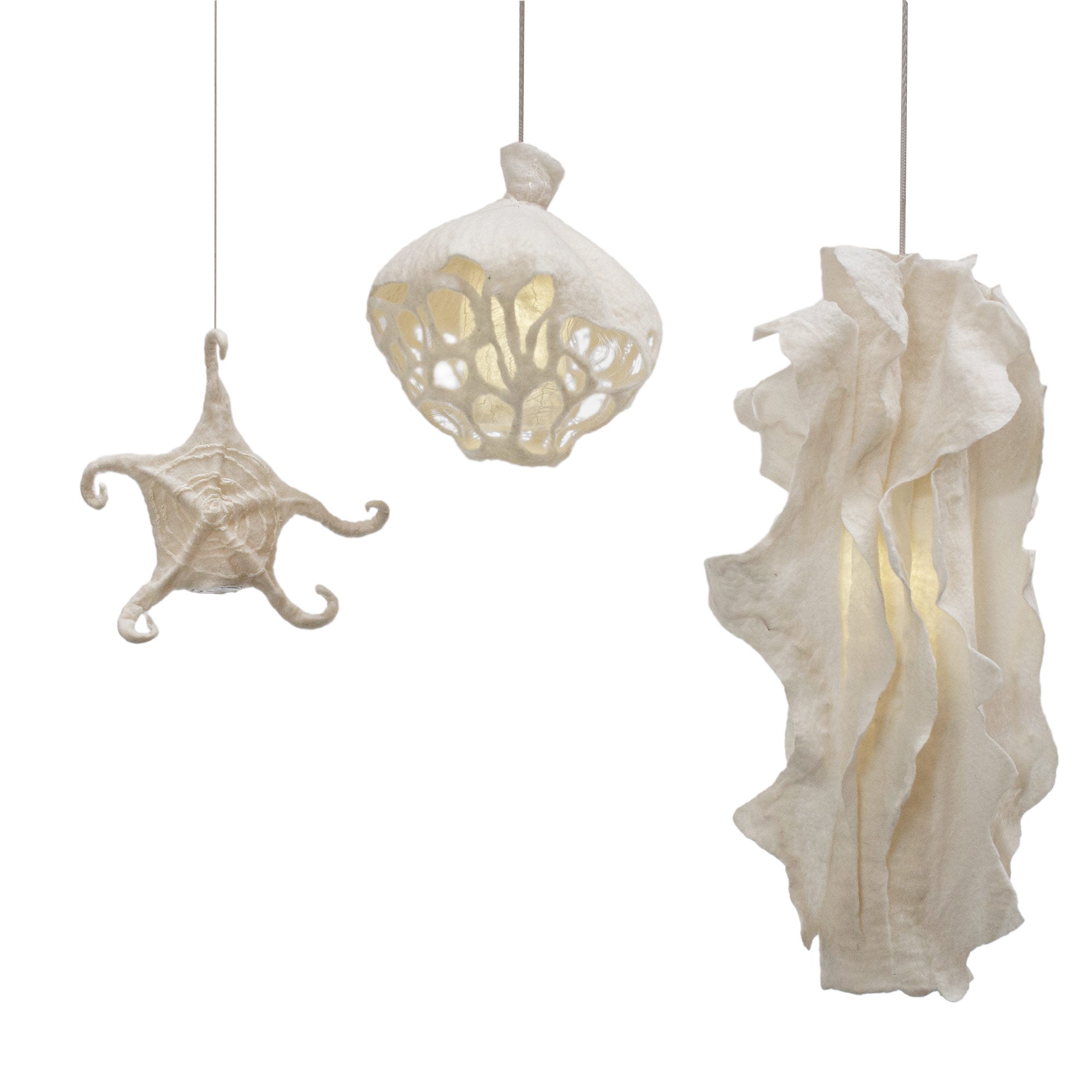 Felted Wool Starfish Lamp - Small – JG SWITZER DESIGN